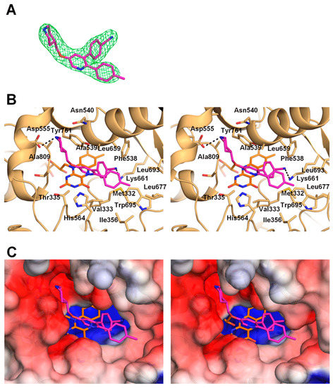 Crystal Structure of LSD1 in Complex with 4-[5-(Piperidin-4-ylmethoxy ...