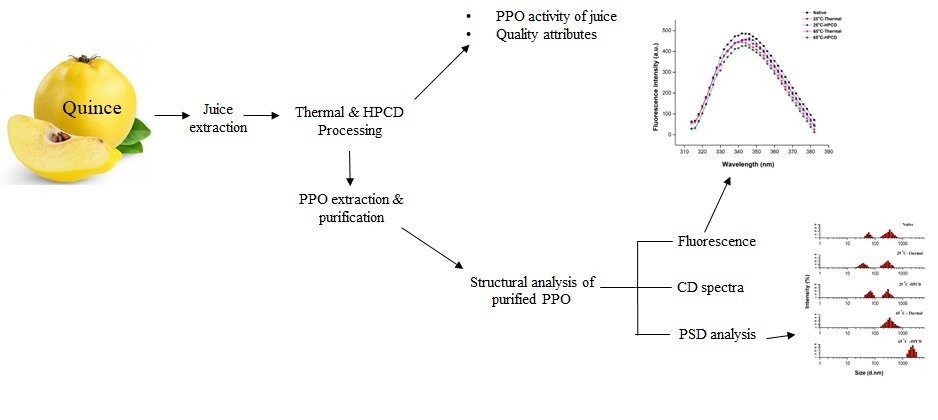 Molecules | Free Full-Text | Inactivation, Aggregation and ...