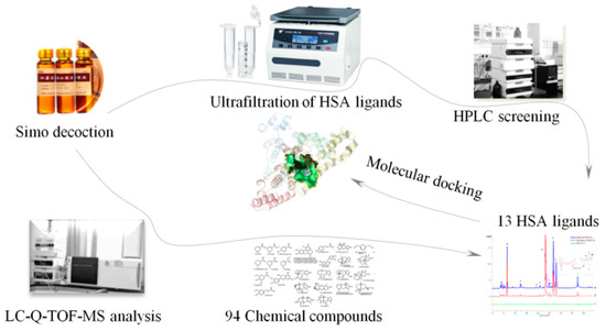 Molecules | Free Full-Text | Rapid Investigation and Screening of Bioactive Components in Simo ...