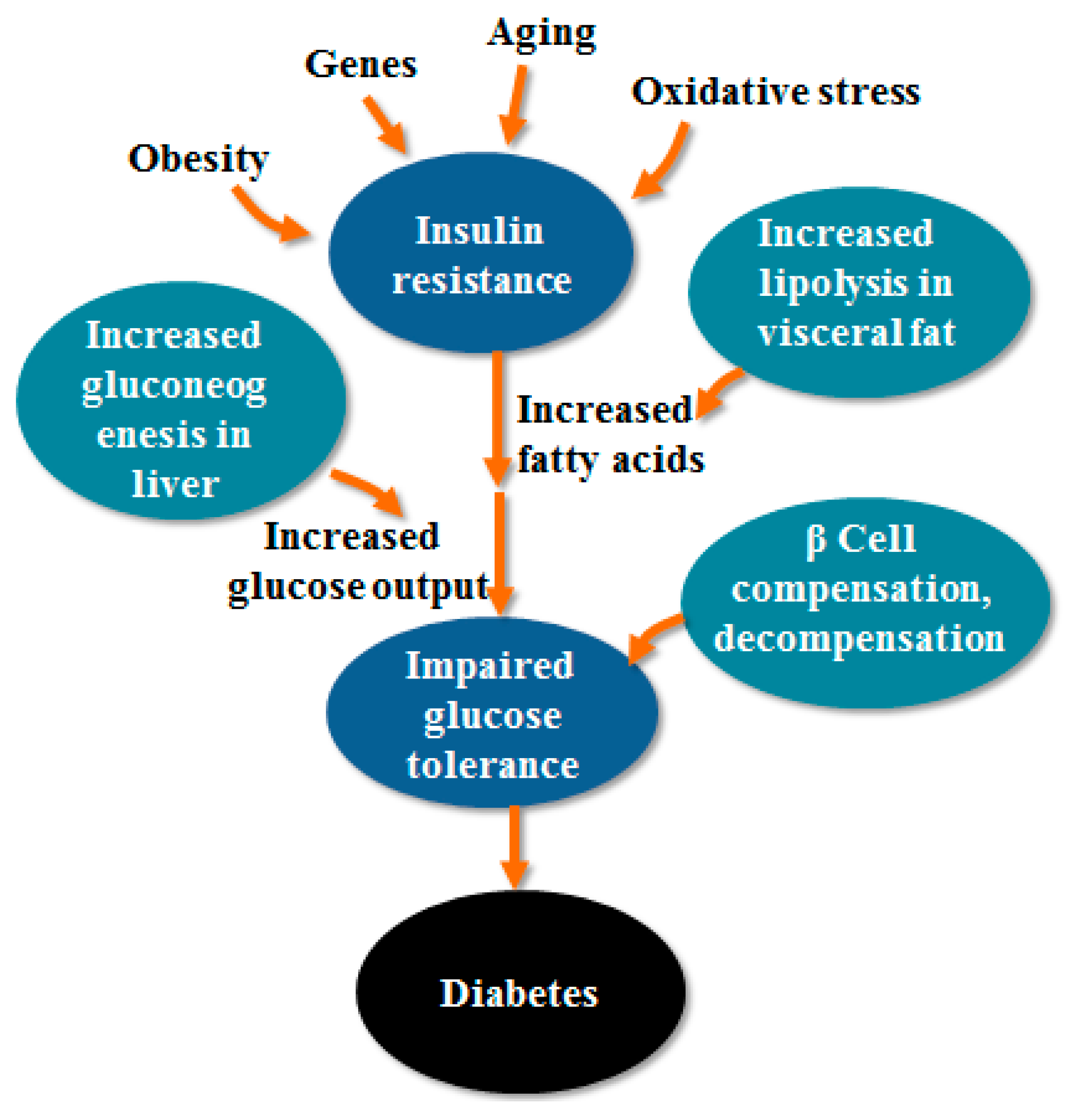 Progress in Metabonomics of Type 2 Diabetes Mellitus