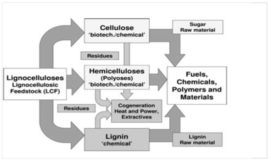 Lignin-Derived Biomaterials for Drug Release and Tissue Engineering