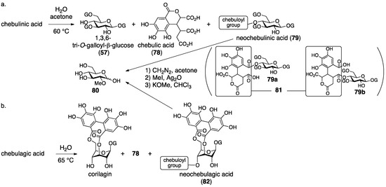 Structural Revisions in Natural Ellagitannins