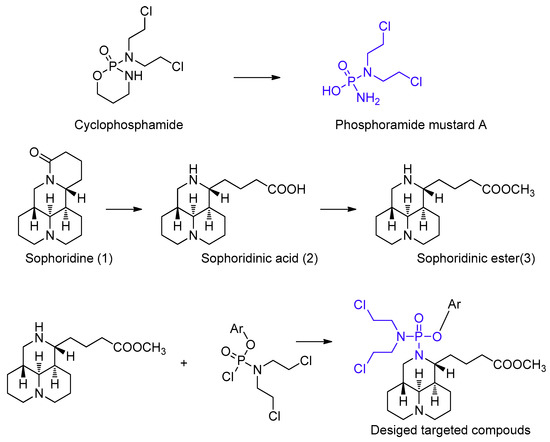 Novel Sophoridine Derivatives Bearing Phosphoramide Mustard Moiety ...