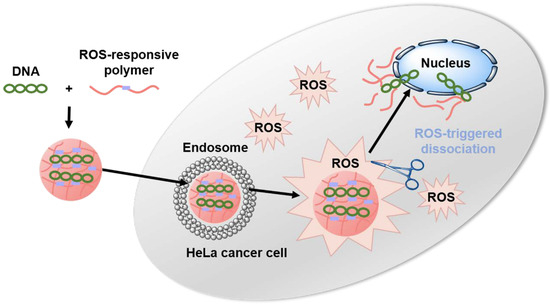 Aromatic Thioacetal-Bridged ROS-Responsive Nanoparticles as Novel Gene ...