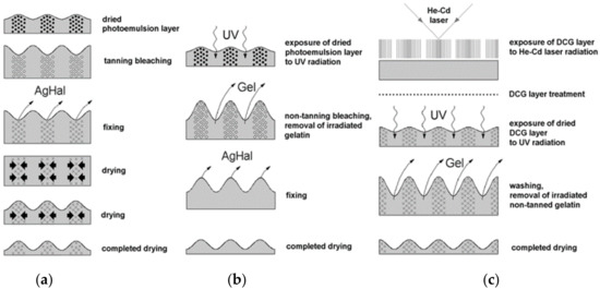 Gelatin as a Photosensitive Material