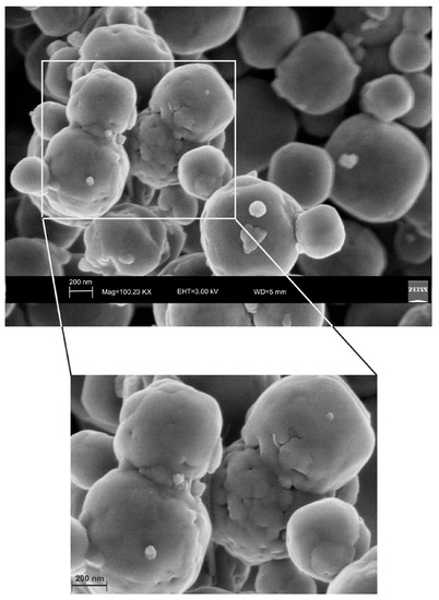 Molecules | Special Issue : Microporous/Mesoporous Inorganic Materials