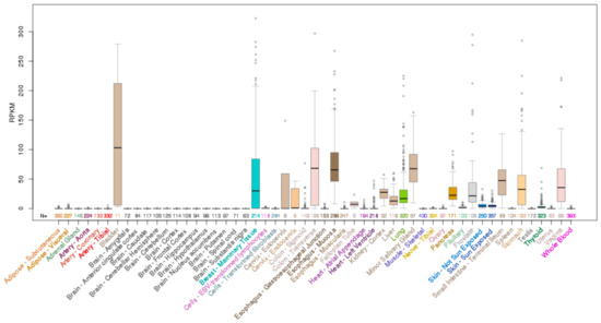 ELF3, ELF5, EHF and SPDEF Transcription Factors in Tissue Homeostasis ...