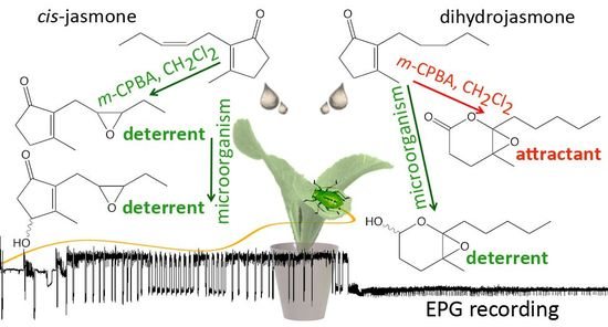 Molecules | Free Full-Text | Novel Hydroxy- and Epoxy-cis-Jasmone and ...