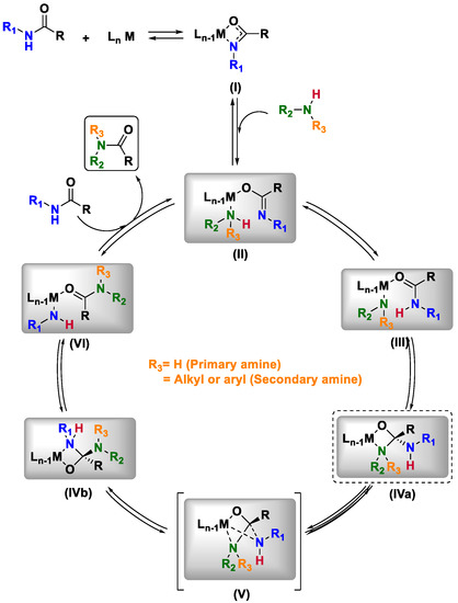 Direct Transamidation Reactions: Mechanism and Recent Advances