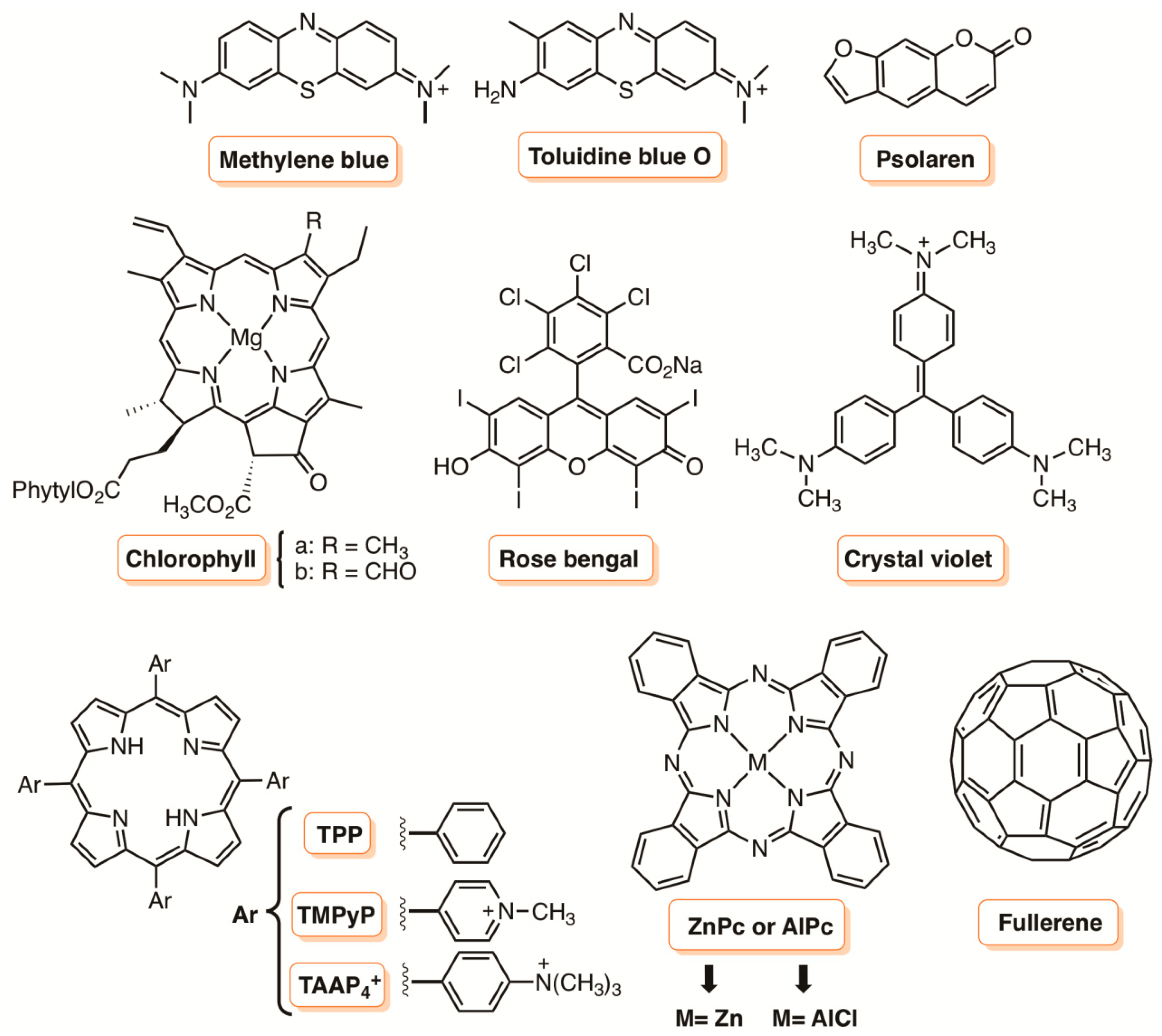 Revisiting Current Photoactive Materials for Antimicrobial Photodynamic ...