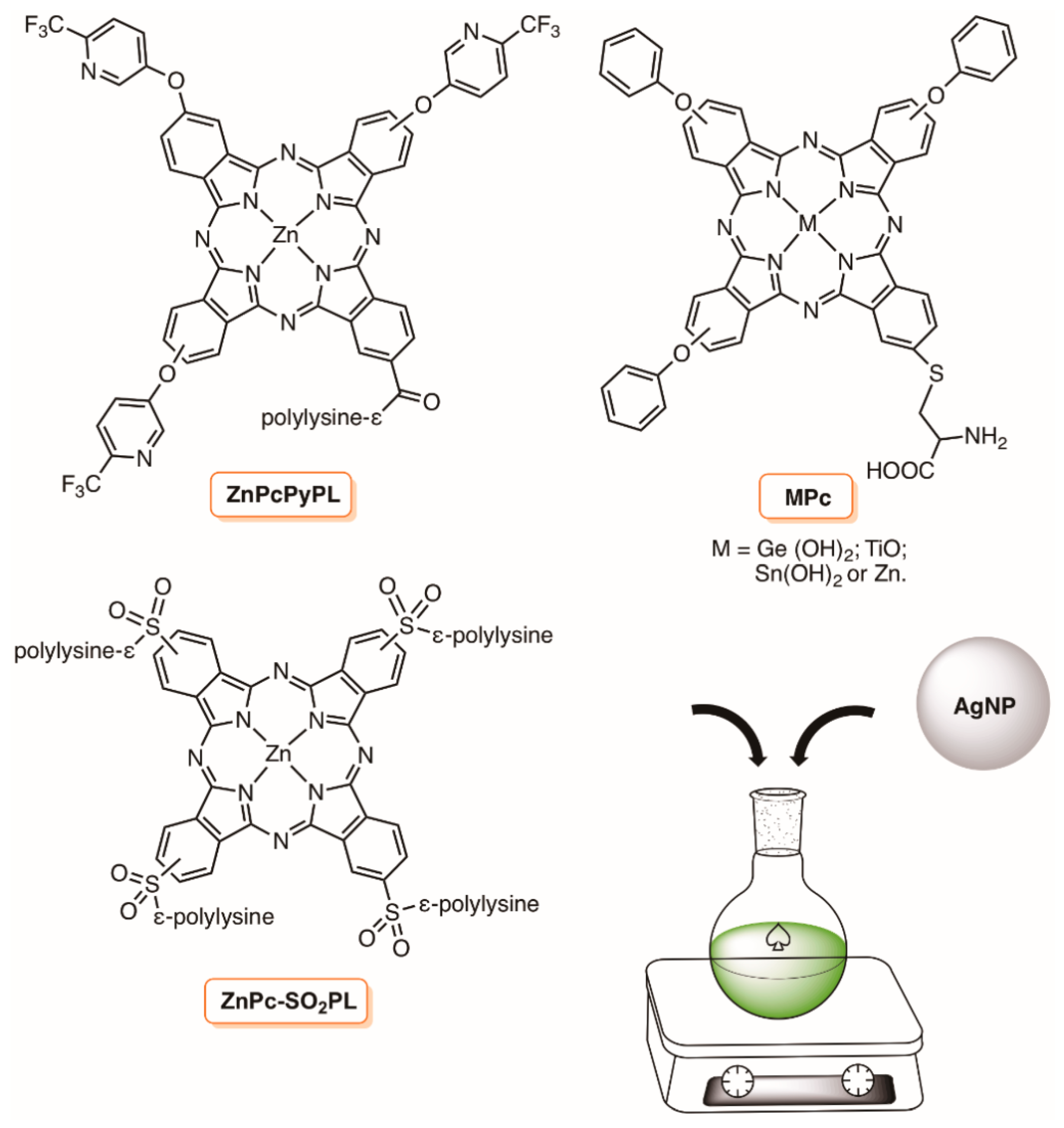 Revisiting Current Photoactive Materials for Antimicrobial Photodynamic ...