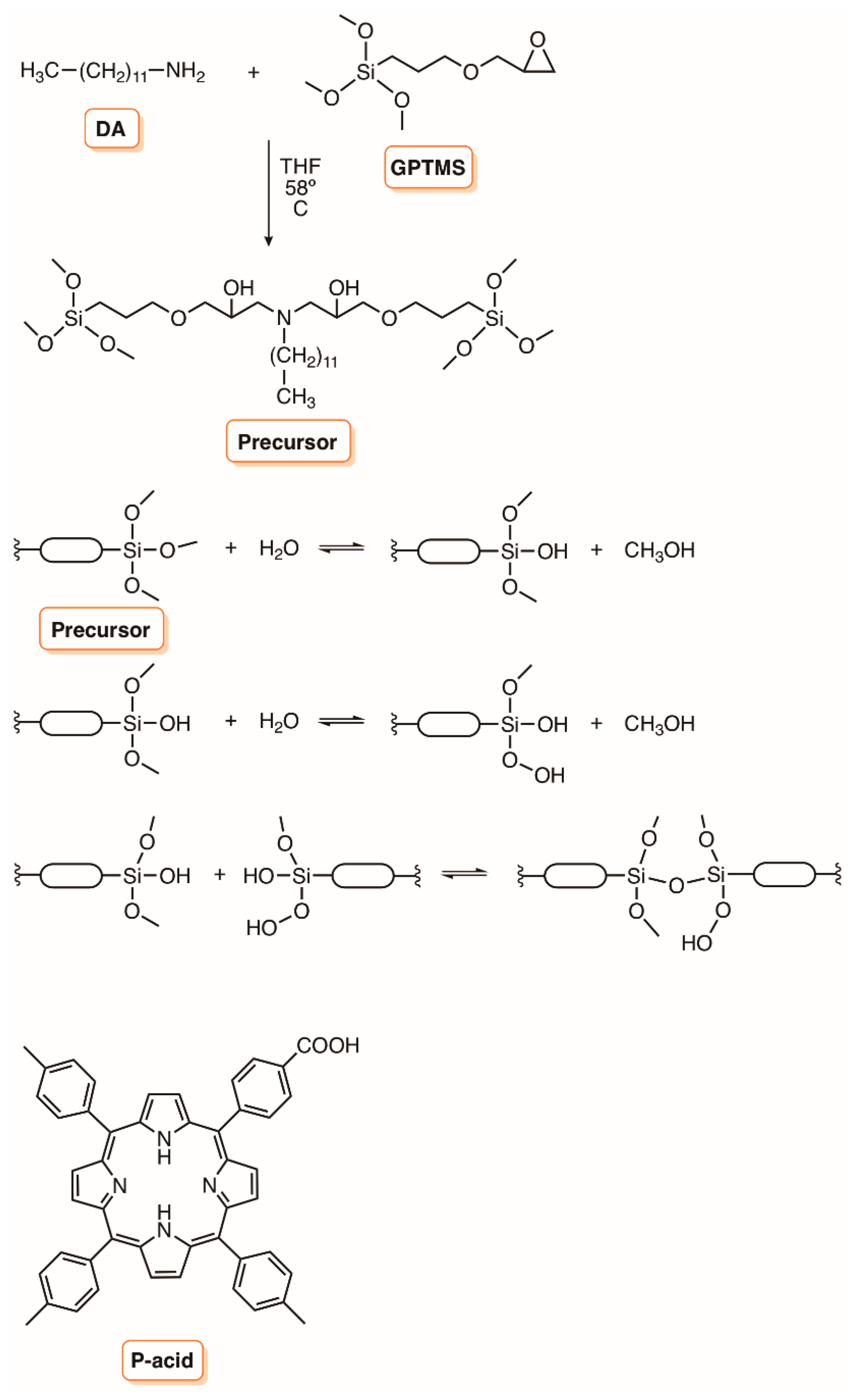 Revisiting Current Photoactive Materials for Antimicrobial Photodynamic ...