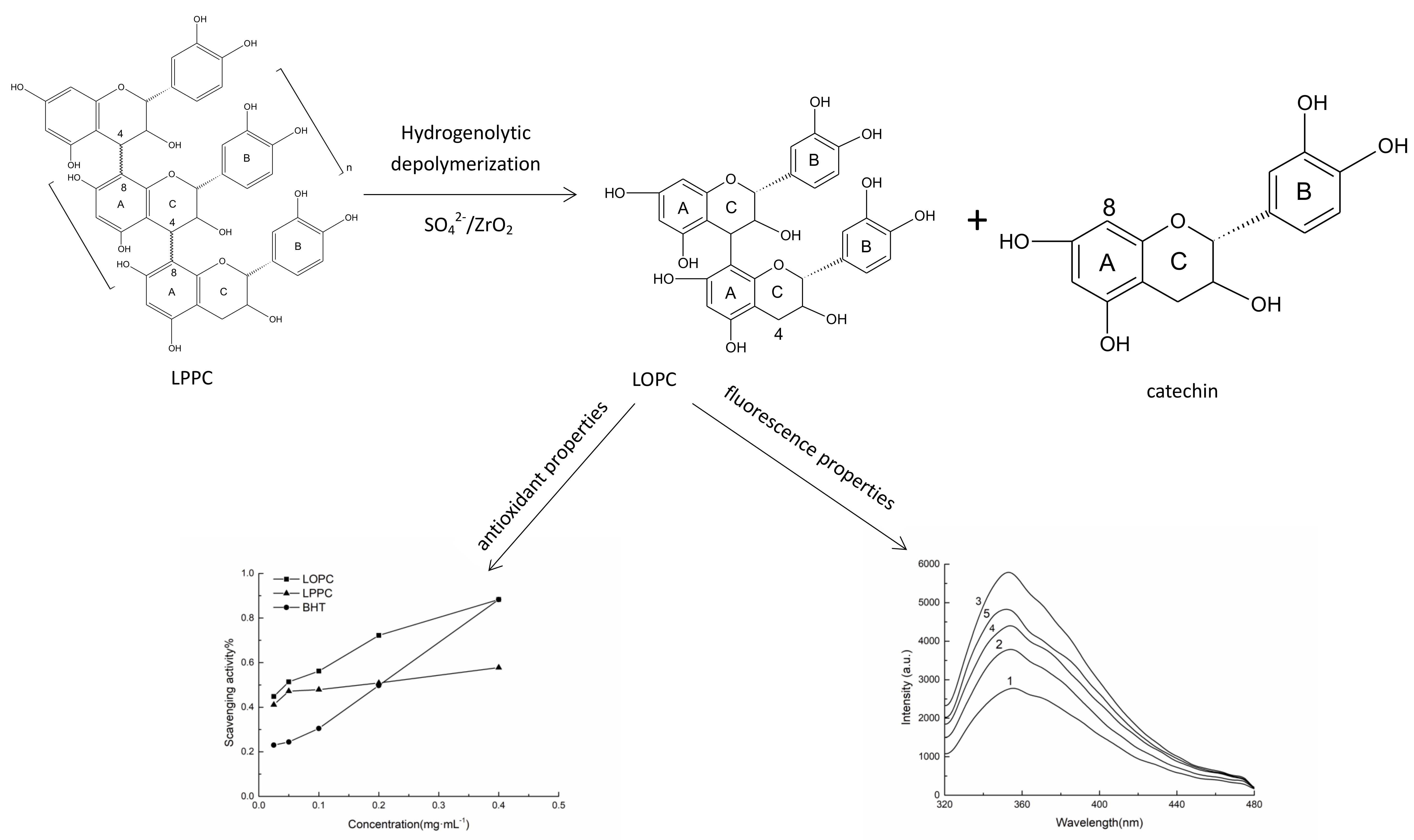 Molecules | Free Full-Text | Antioxidant and Fluorescence Properties of ...