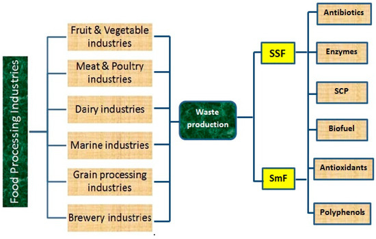 Fermentation: A Boon for Production of Bioactive Compounds by ...