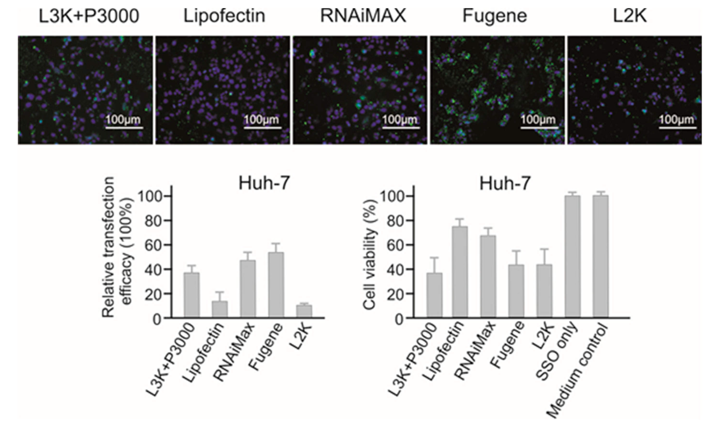Systematic Screening of Commonly Used Commercial Transfection Reagents ...