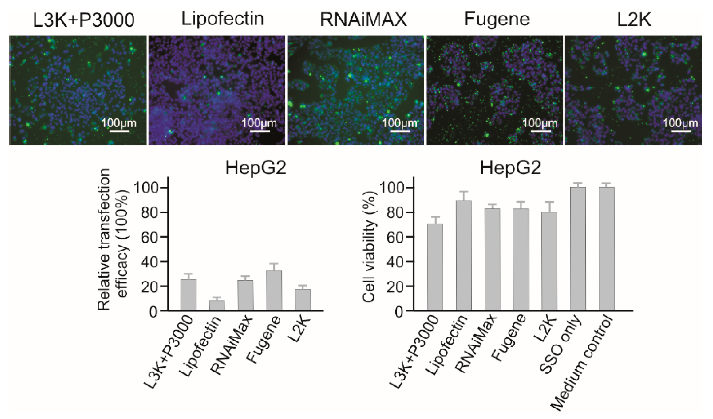 Systematic Screening of Commonly Used Commercial Transfection Reagents ...