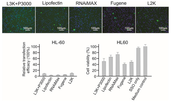 Systematic Screening of Commonly Used Commercial Transfection Reagents ...