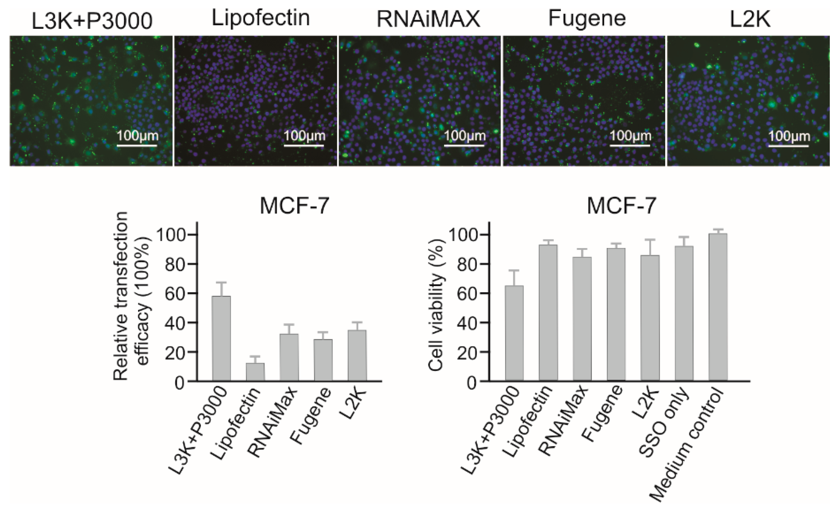 Systematic Screening of Commonly Used Commercial Transfection Reagents ...
