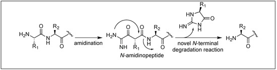 Amide Bond Activation of Biological Molecules