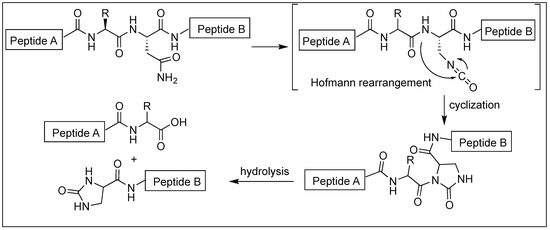 Molecules | Free Full-Text | Amide Bond Activation of Biological Molecules