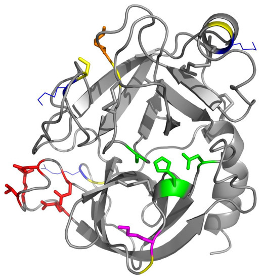 Pseudotrypsin: A Little-Known Trypsin Proteoform