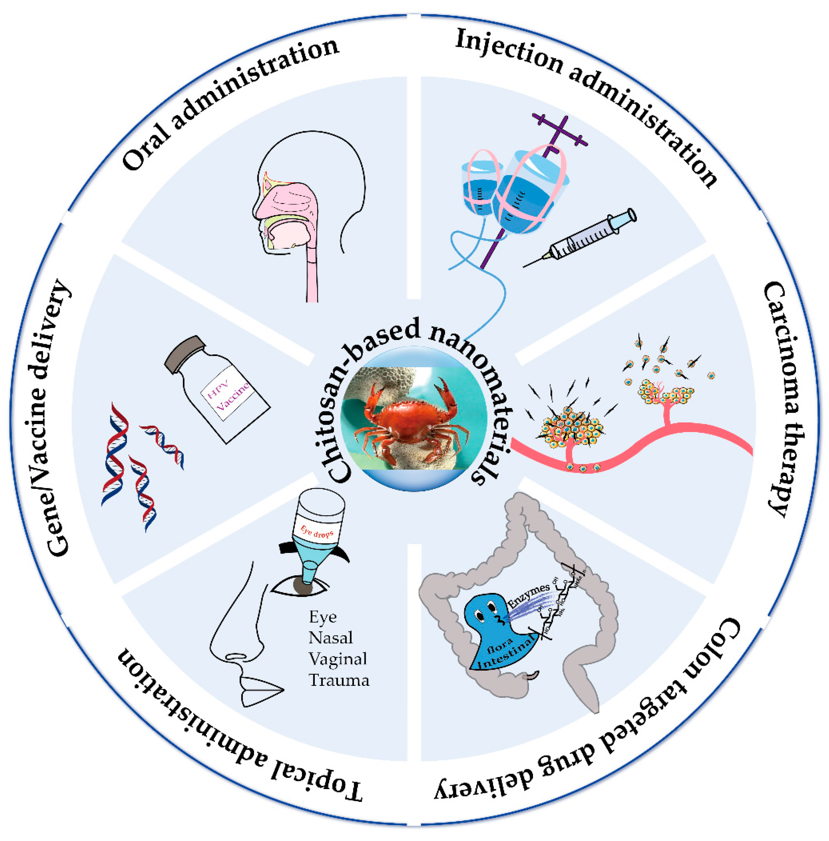 Chitosan-Based Nanomaterials for Drug Delivery