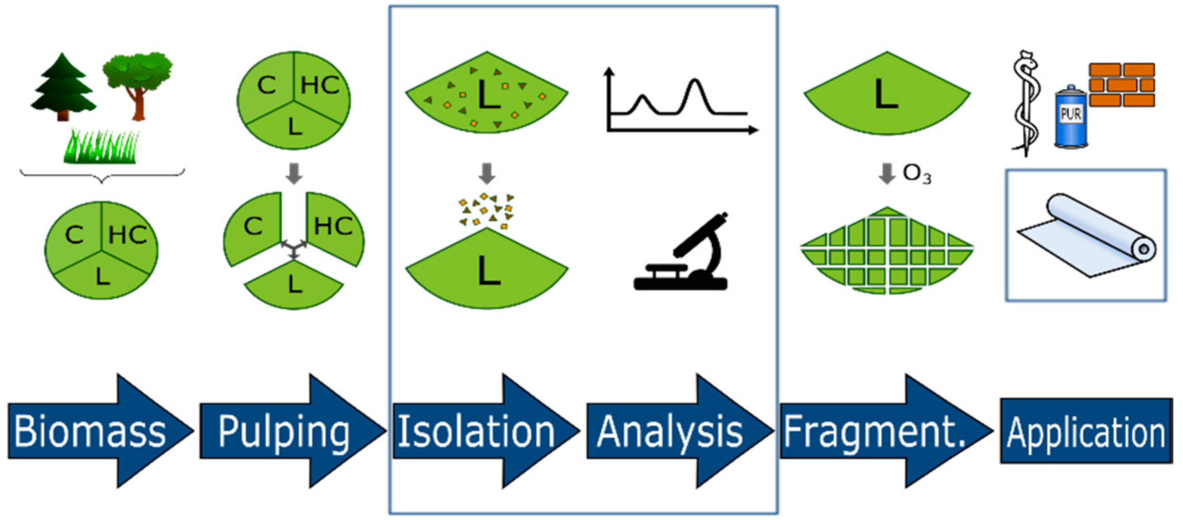 Molecules | Free Full-Text | Lignocellulosic Biomass as Source for ...