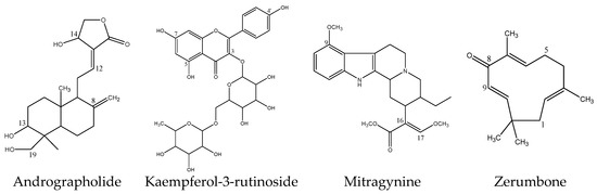 Molecules | Free Full-Text | Inhibition of UGT2B7 Enzyme Activity in ...
