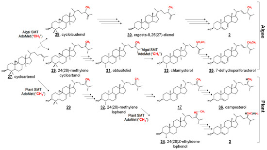 Microbial Sterolomics as a Chemical Biology Tool