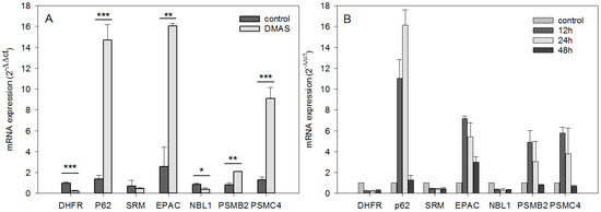 Molecules | Free Full-Text | Comparative Gene Expression Analysis in ...