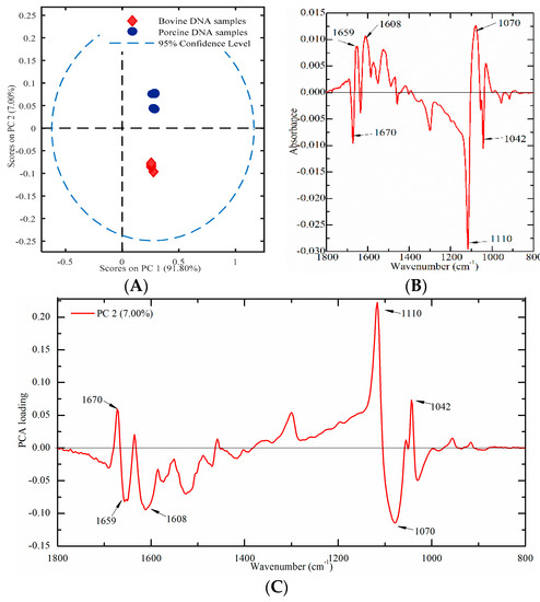 Insight into Rapid DNA-Specific Identification of Animal Origin Based ...