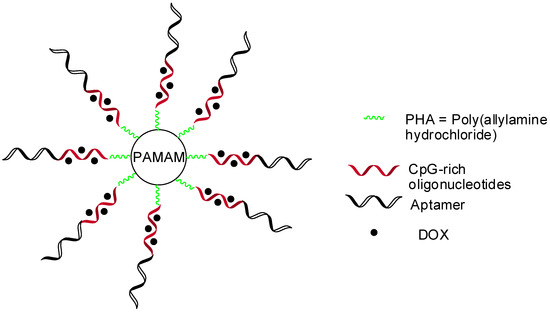 New Advances in General Biomedical Applications of PAMAM Dendrimers
