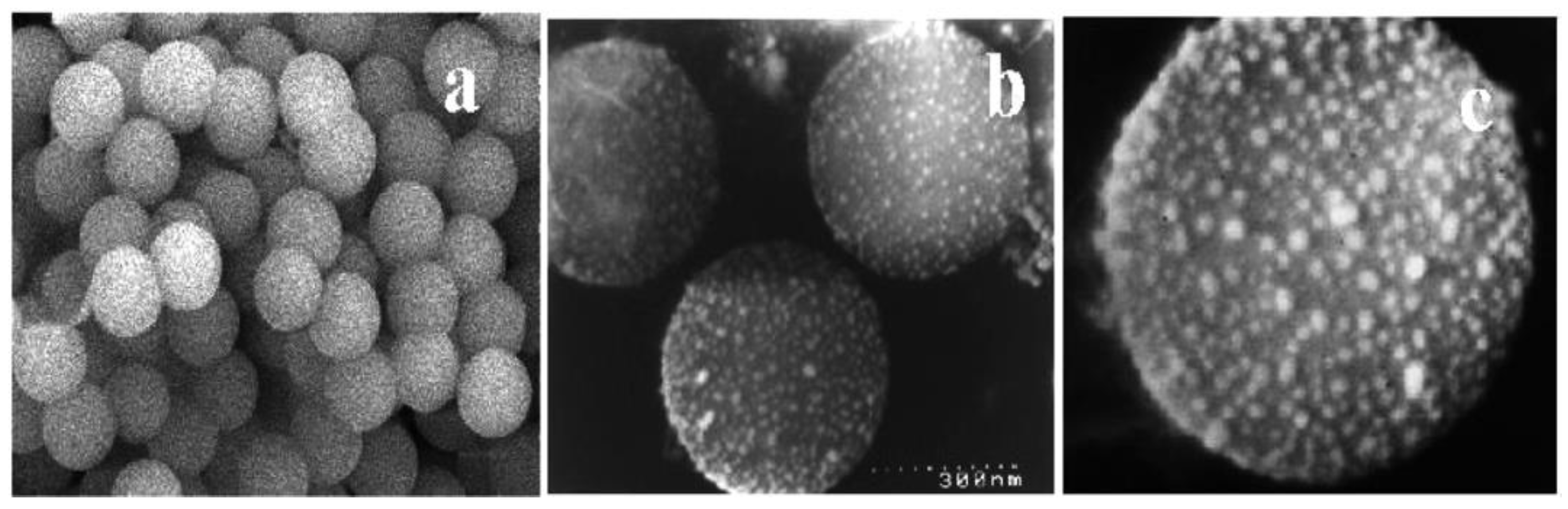 Synthetic Methodologies to Gold Nanoshells: An Overview