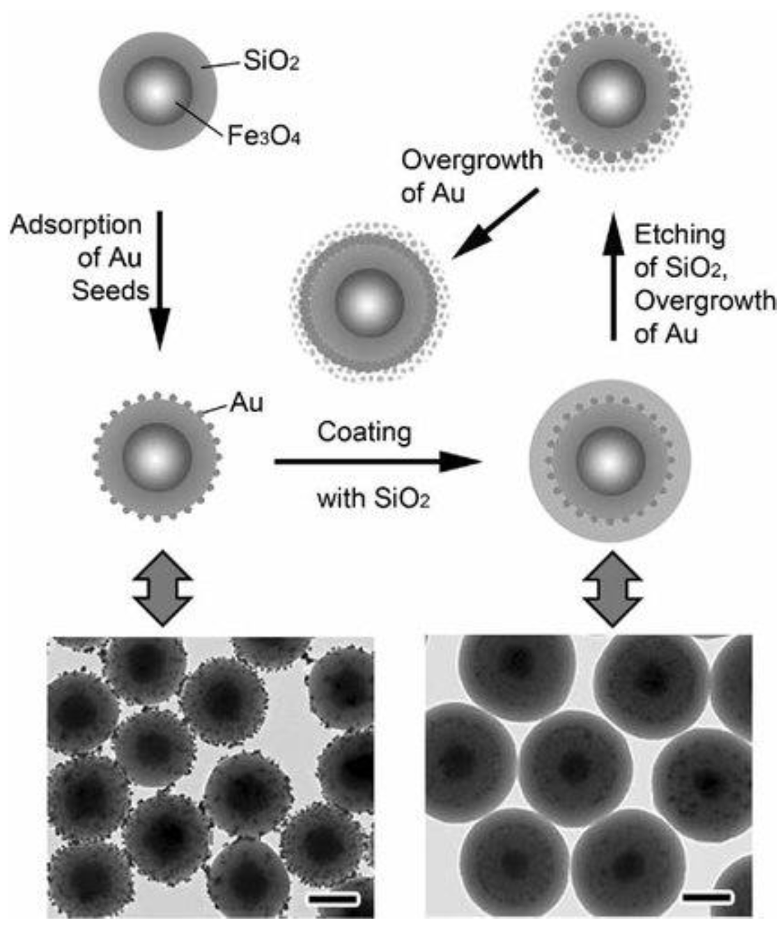 Synthetic Methodologies to Gold Nanoshells: An Overview