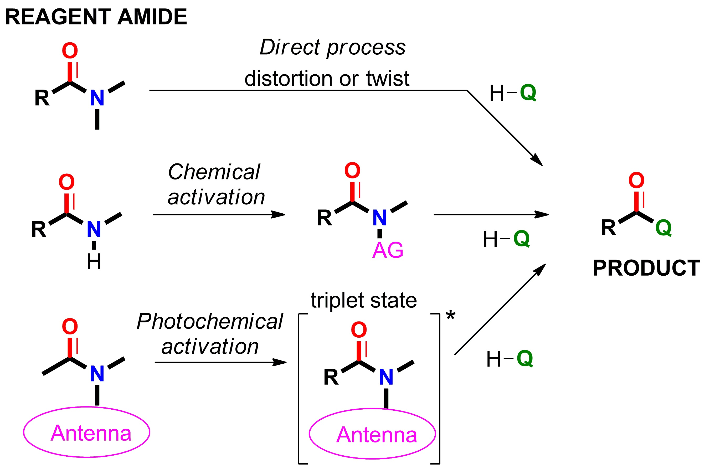 Molecules | Free Full-Text | Amide Activation in Ground and Excited States