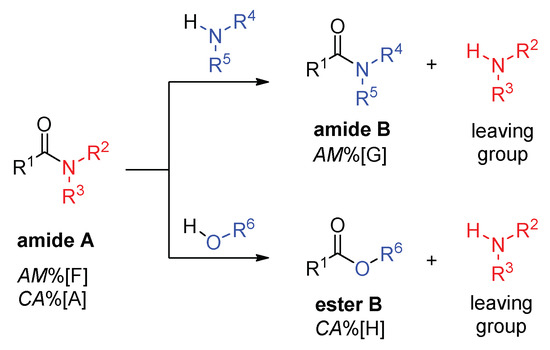 Amide Activation in Ground and Excited States