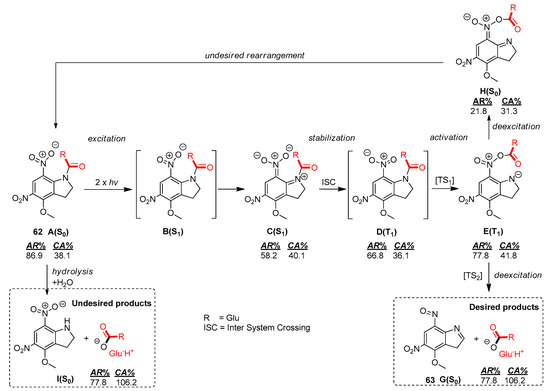 cyclic amides hydrolysis