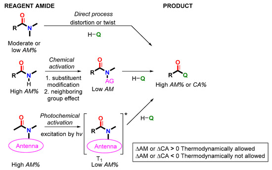 Amide Activation in Ground and Excited States