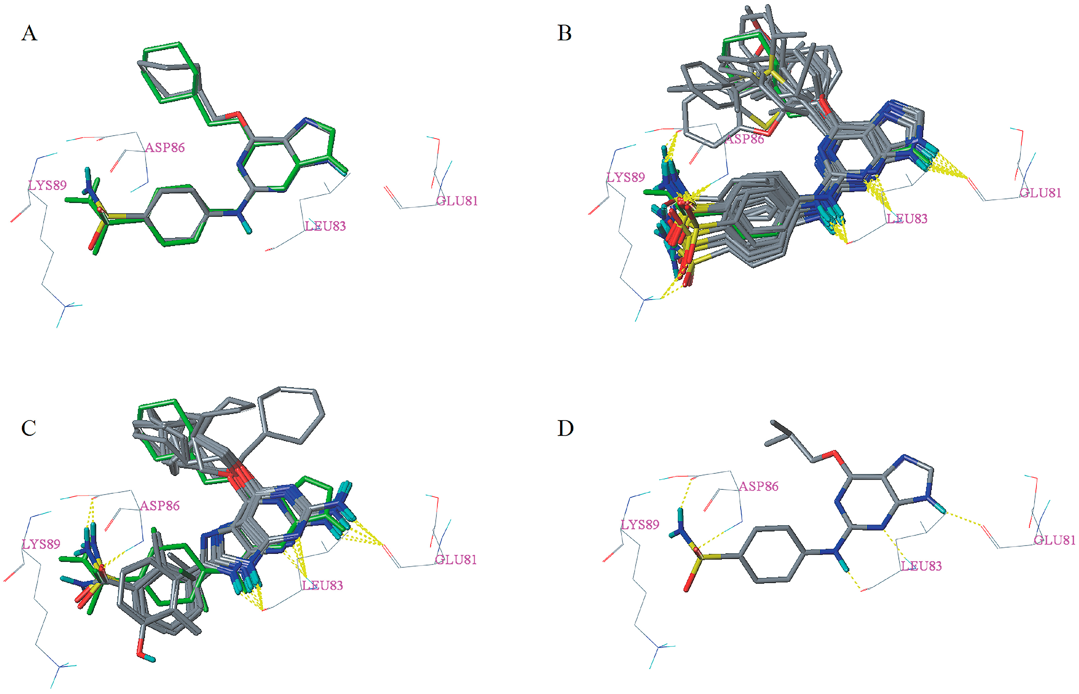 Molecular Modeling and Design Studies of Purine Derivatives as Novel ...