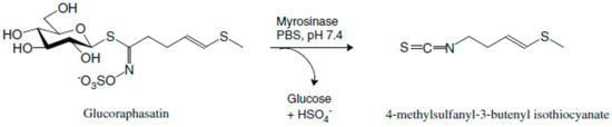 Induction of Apoptosis and Cytotoxicity by Raphasatin in Human Breast Adenocarcinoma MCF-7 Cells