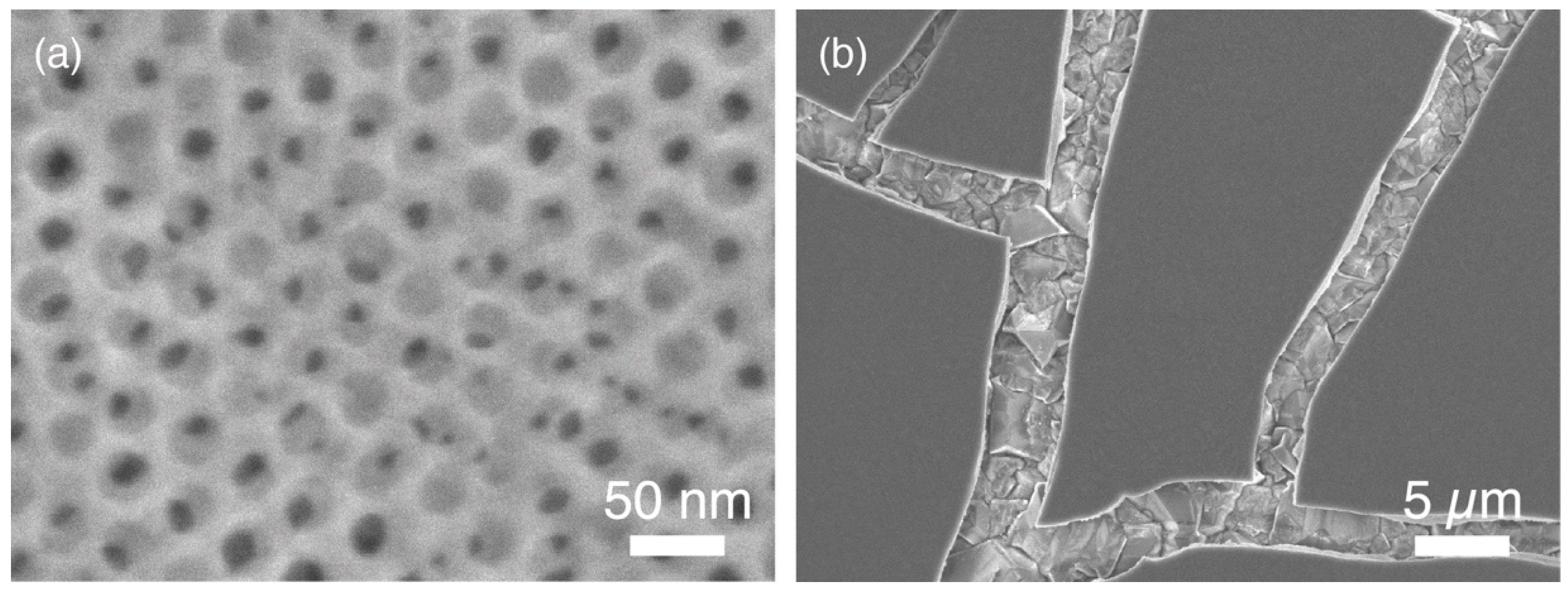 Synthesis of Mesoporous TiO2/Boron-Doped Diamond Photocatalyst and Its ...