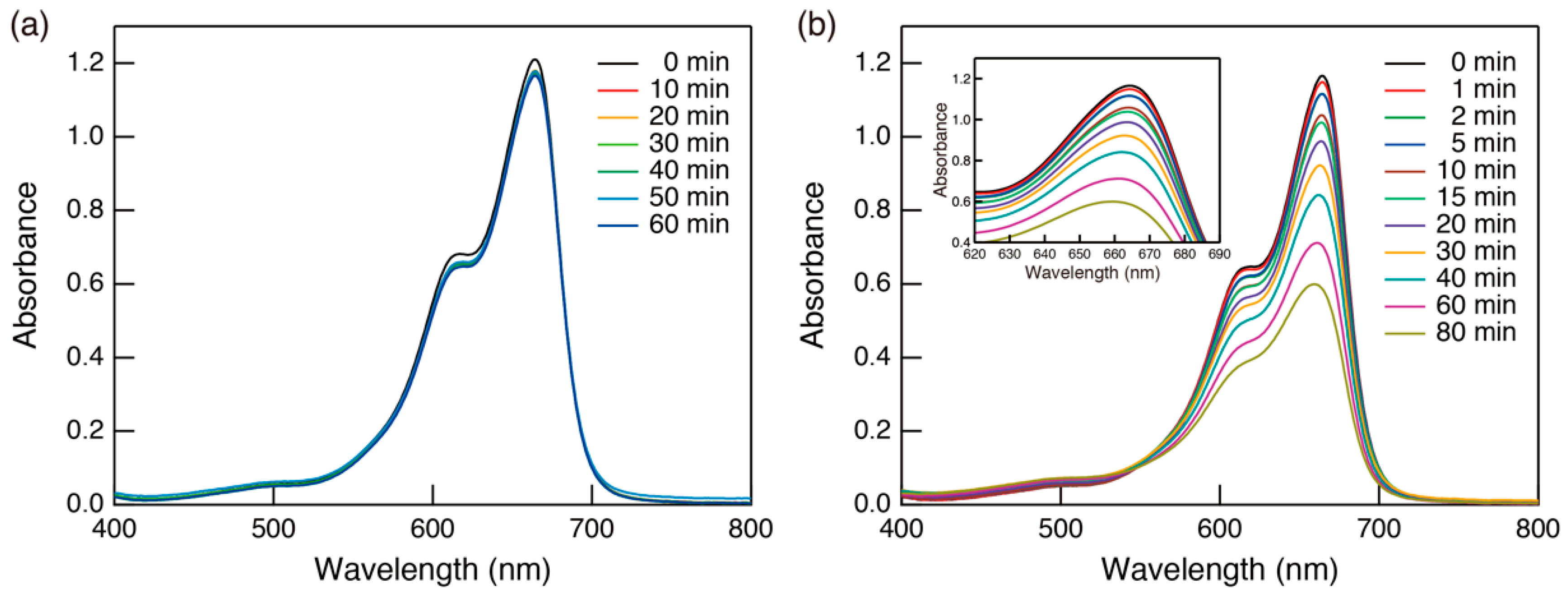 Synthesis of Mesoporous TiO2/Boron-Doped Diamond Photocatalyst and Its ...