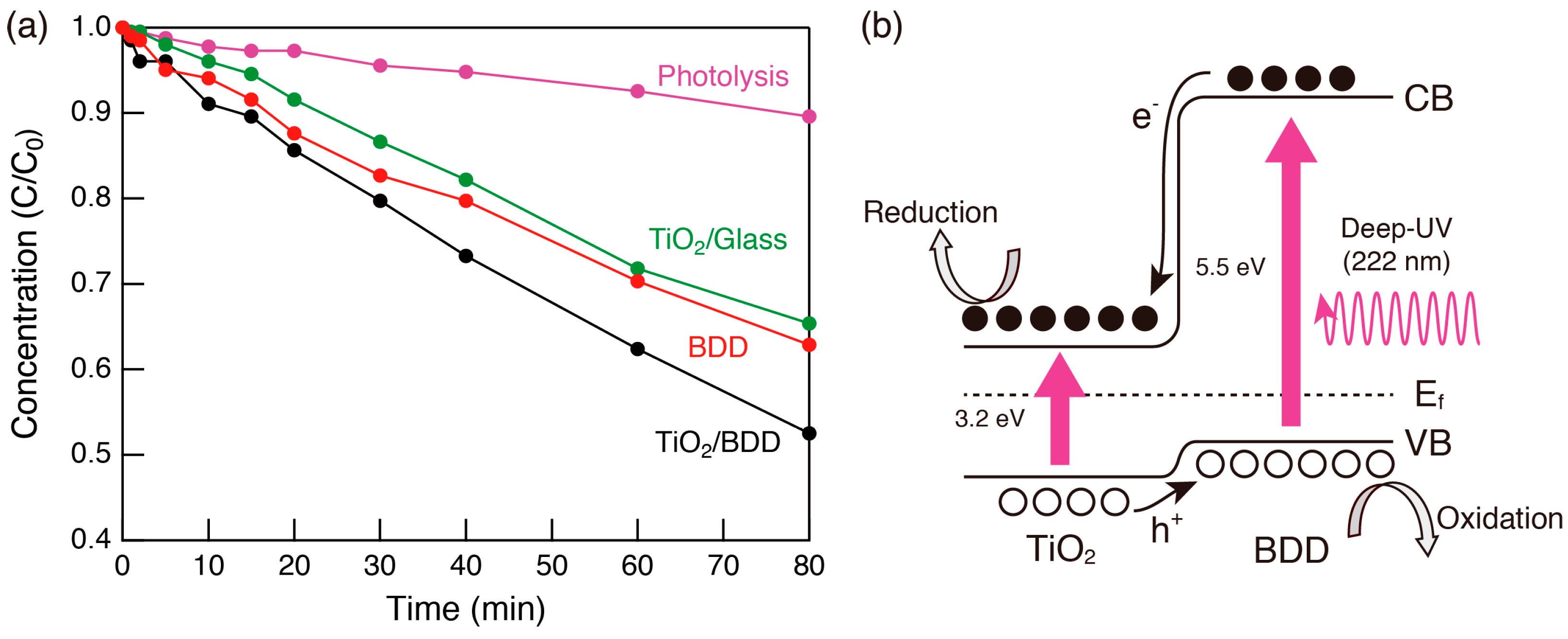Synthesis of Mesoporous TiO2/Boron-Doped Diamond Photocatalyst and Its ...