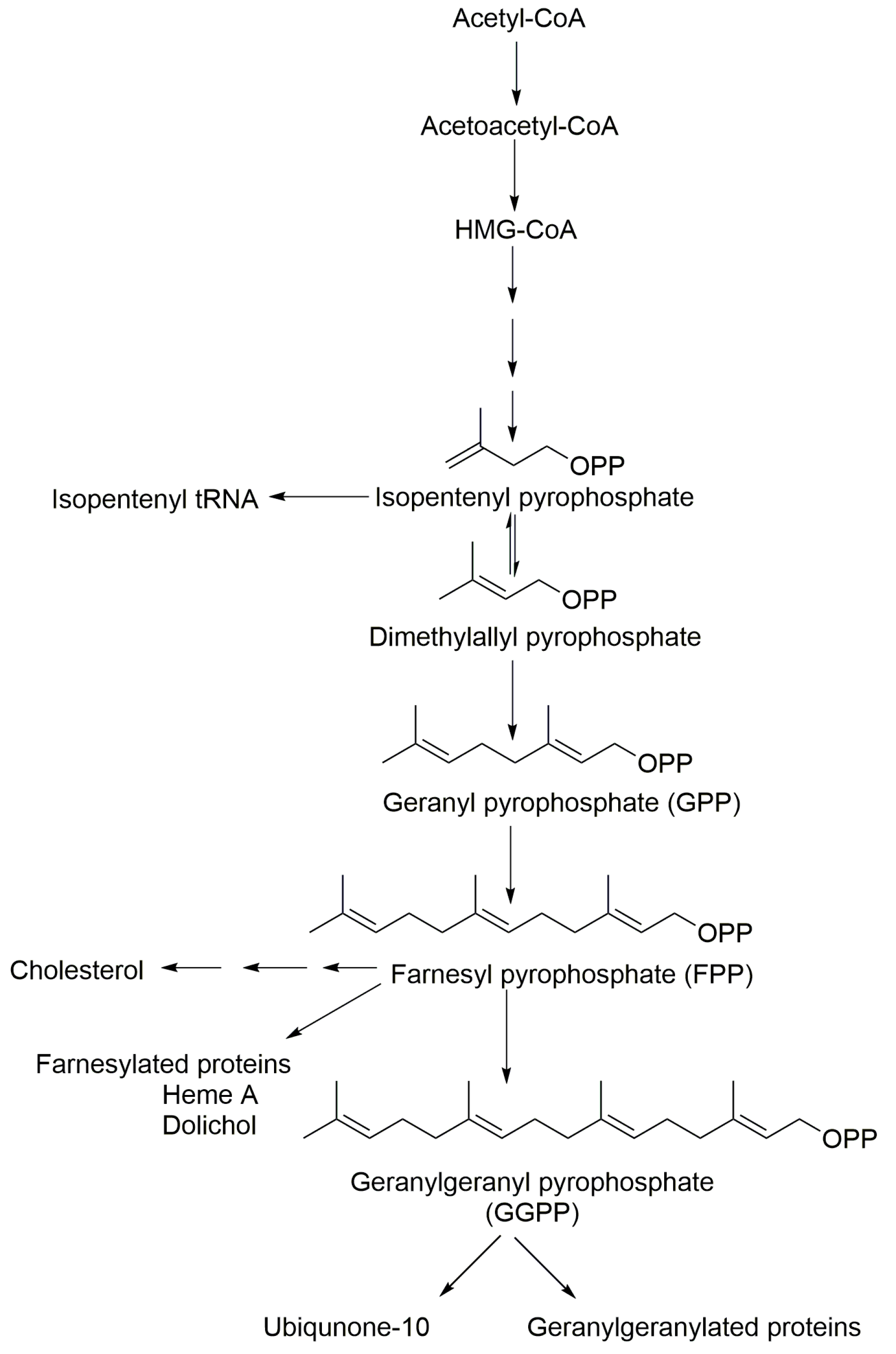 Simultaneous Quantitation of Isoprenoid Pyrophosphates in Plasma and ...