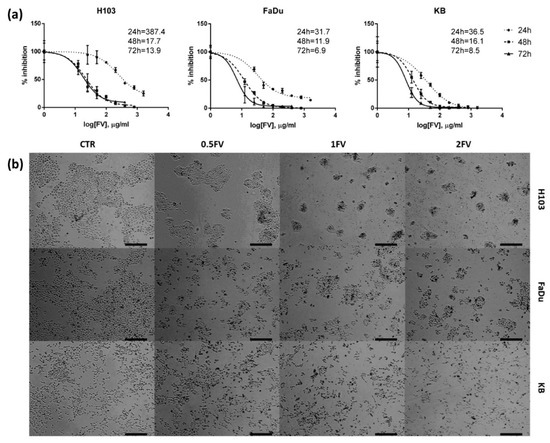 Fucoidan Exerts Anticancer Effects Against Head and Neck Squamous Cell ...