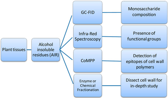 Deconstructing Wine Grape Cell Walls with Enzymes During Winemaking ...