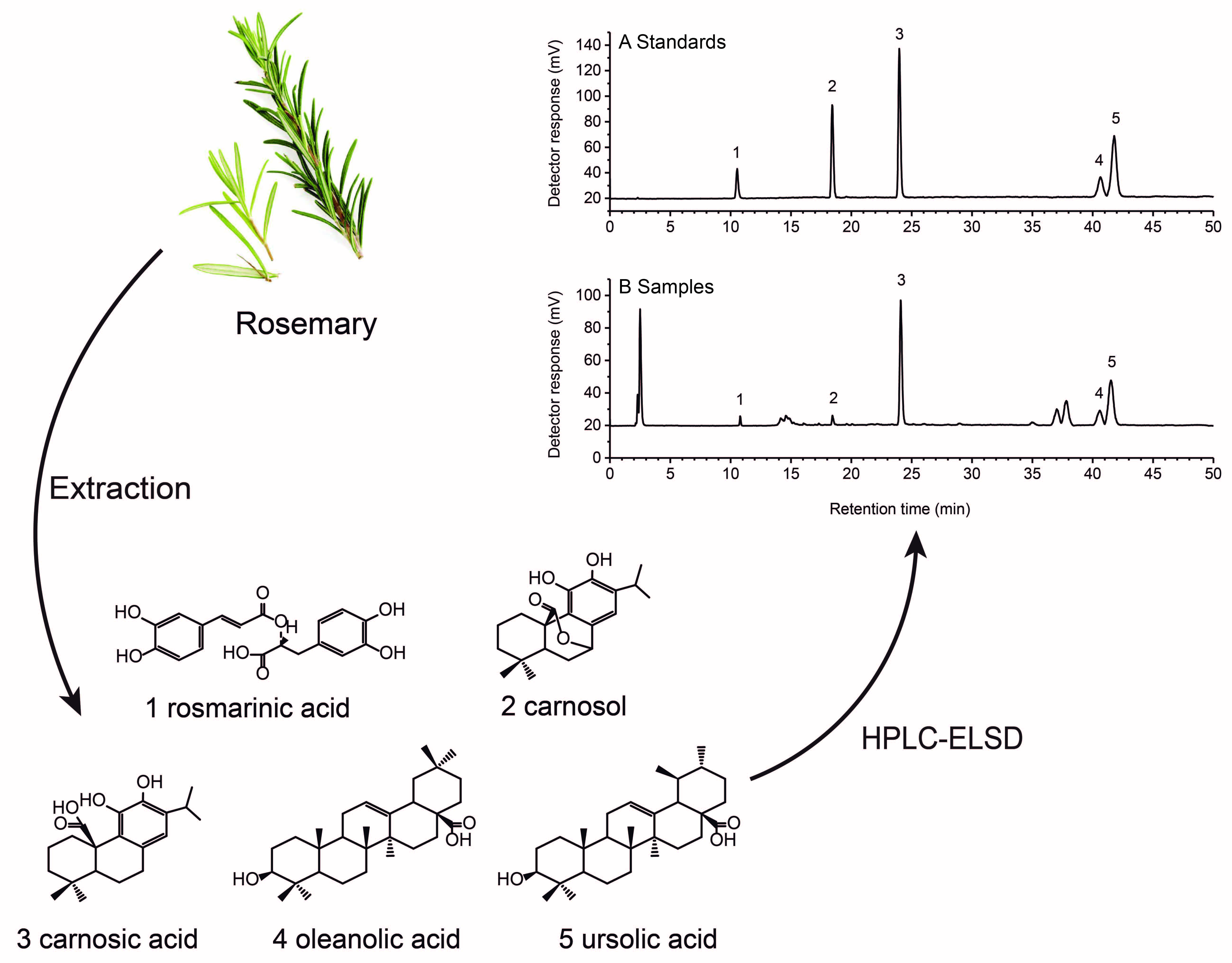 Molecules | Free Full-Text | Development and Validation of an Analytical Method Based on HPLC ...