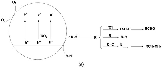 TiO2 Photocatalysis for Transfer Hydrogenation