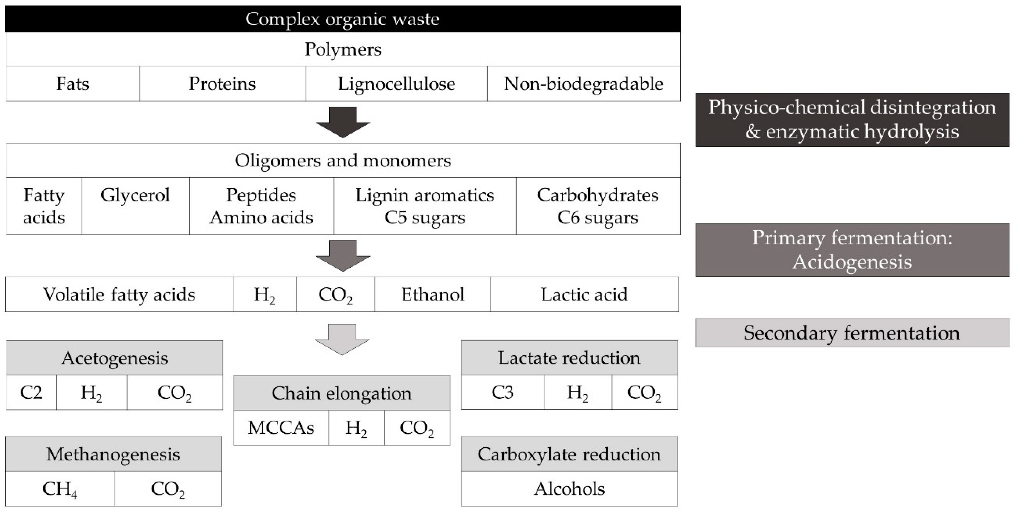 Medium Chain Carboxylic Acids from Complex Organic Feedstocks by Mixed ...