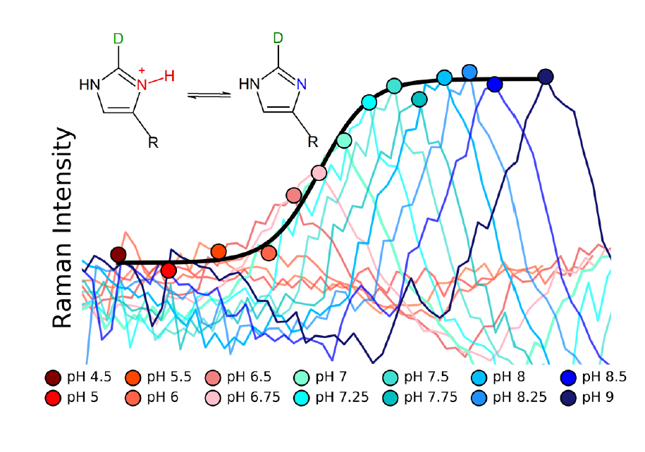 Molecules | Free Full-Text | pKa Determination of a Histidine Residue ...